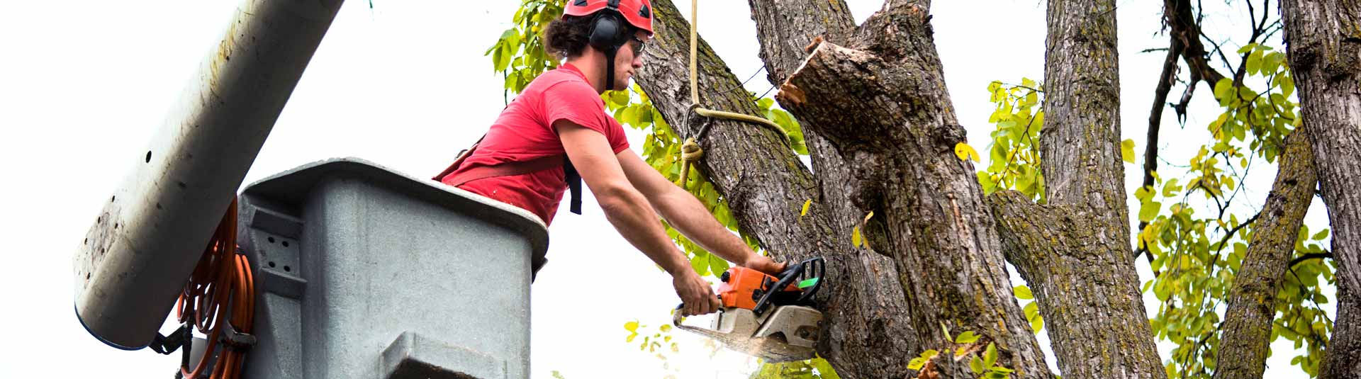 White Oak Landscaping & Grading, LLC - Landscaping & Tree Services